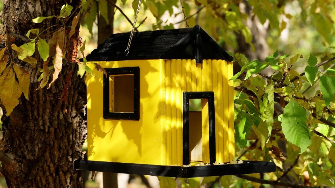 Steps To Building a Bird House
