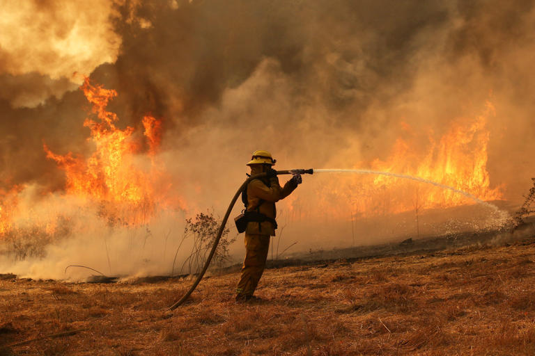 No, LA Fire Department isn't using women's handbags to put out fires ...