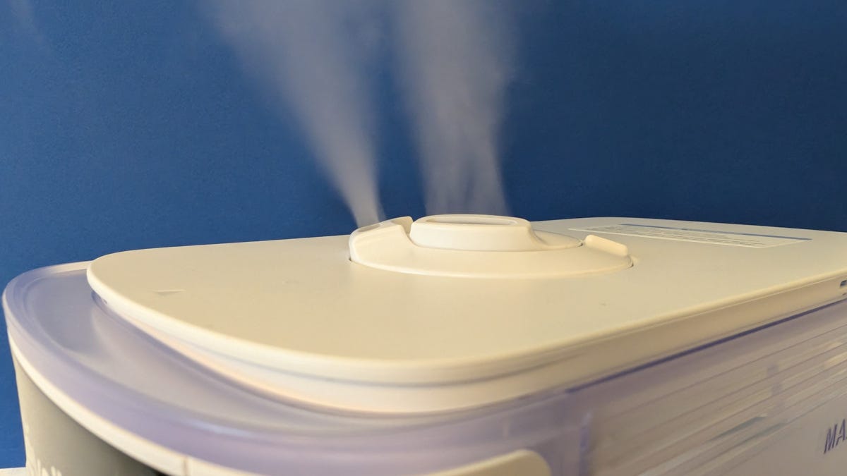 Can a Humidifier Make Your Dry Spring Air Bearable? We Asked an Expert