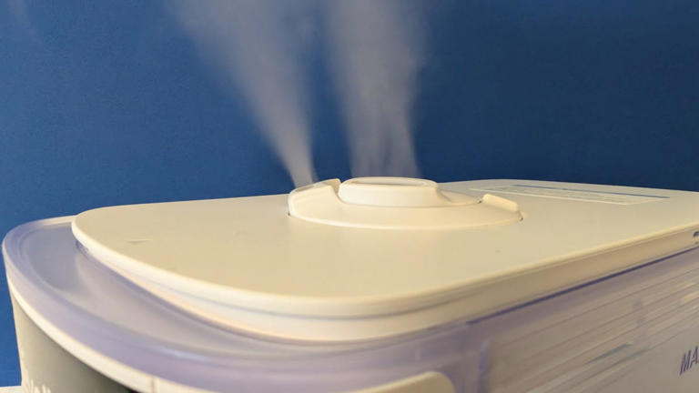 Can a Humidifier Make Your Dry Spring Air Bearable? We Asked an Expert