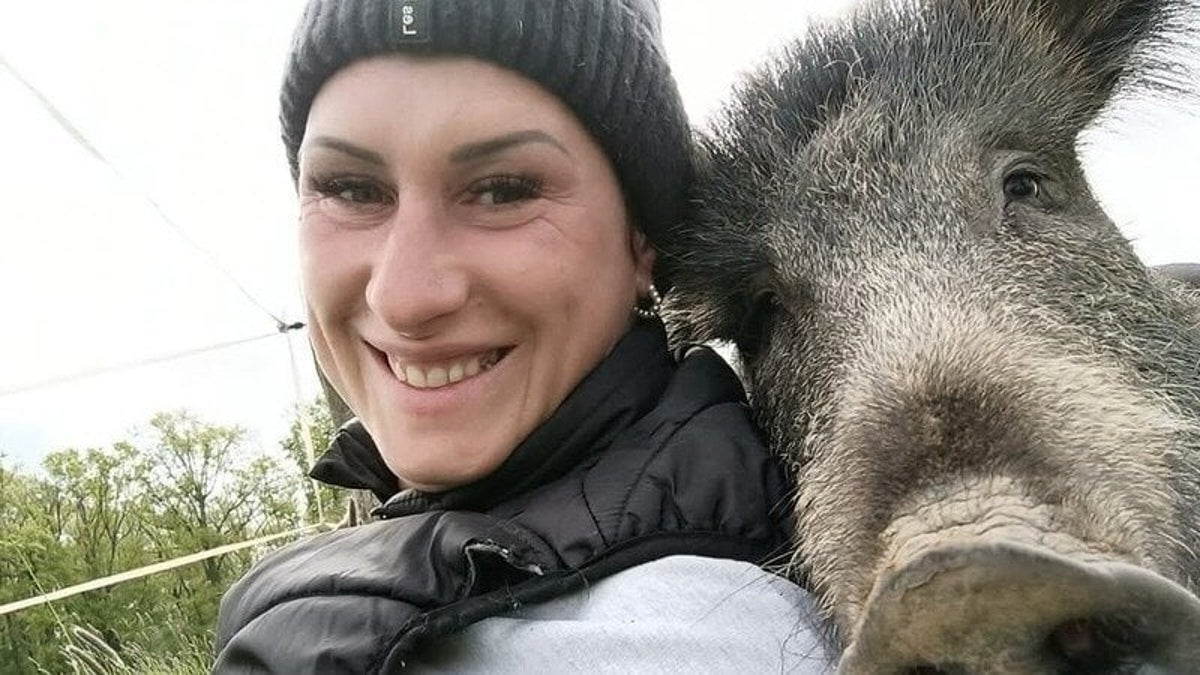 Adopted wild boar ‘Rillette’ can stay with owner, court rules – after ...