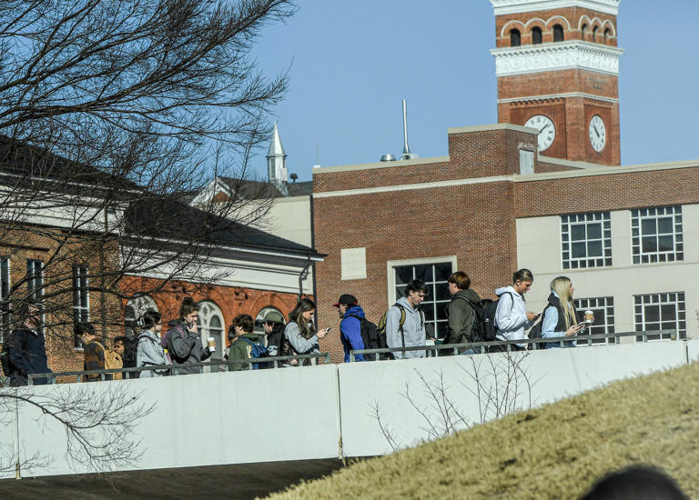 Student health alert: Flu cases surge at Clemson University; AnMed ...