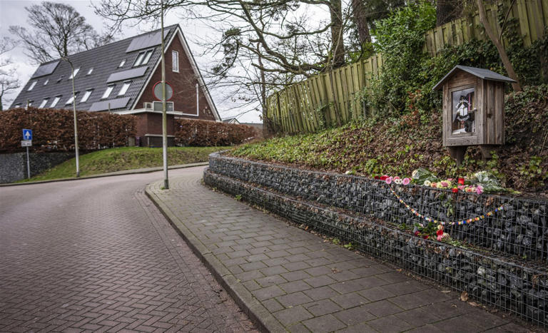 Verdachte van doodsteken 76-jarige vrouw in Den Dolder blijft 90 dagen langer vast