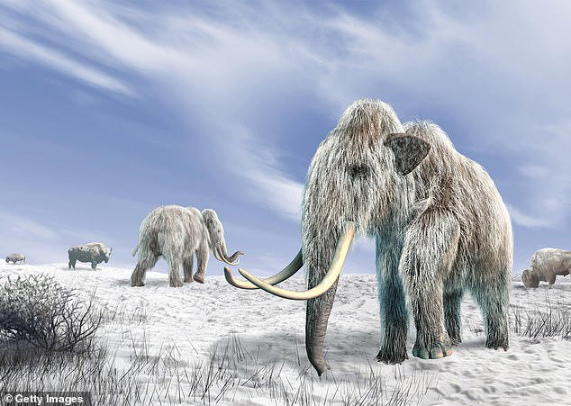Scientists closer to bringing woolly mammoth back from extinction Scientists closer to bringing woolly mammoth back from extinction
