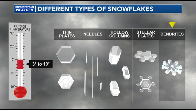 The Different Types of Snowflakes