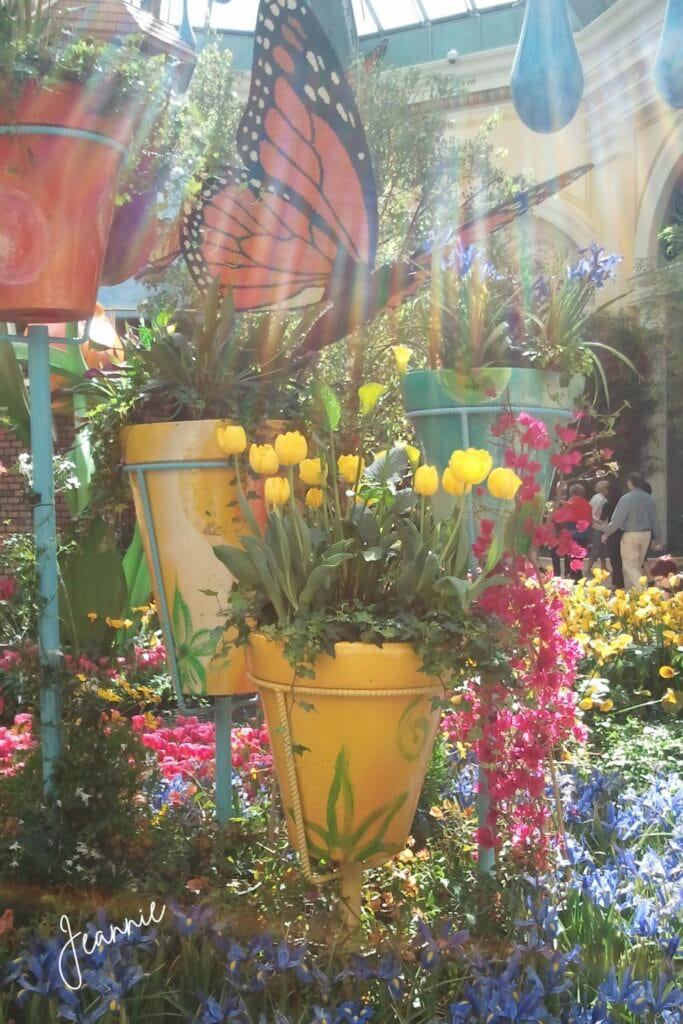 The Beautiful Butterfly