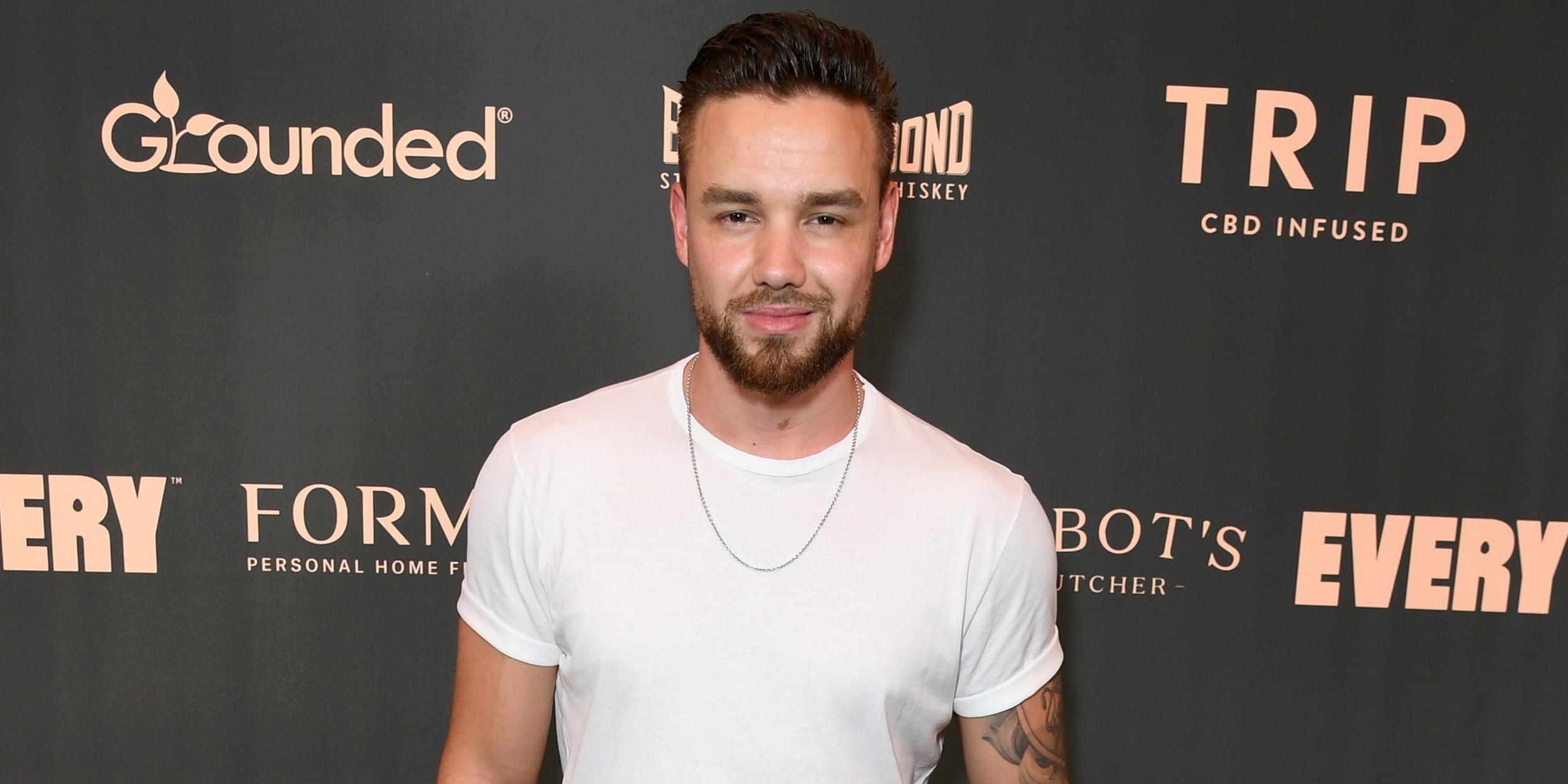 Roger Nores Sues Liam Payne's Father for Defamation Over Controversy ...
