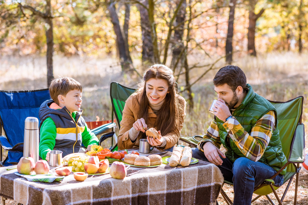 20 simple DIY picnic ideas for quality family time