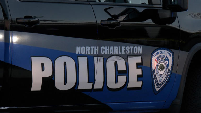North Charleston police arrest man in hit-and-run collision that left 2 ...