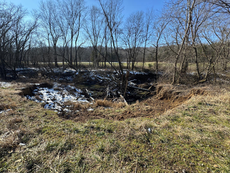 Bowling Green man’s property facing erosion