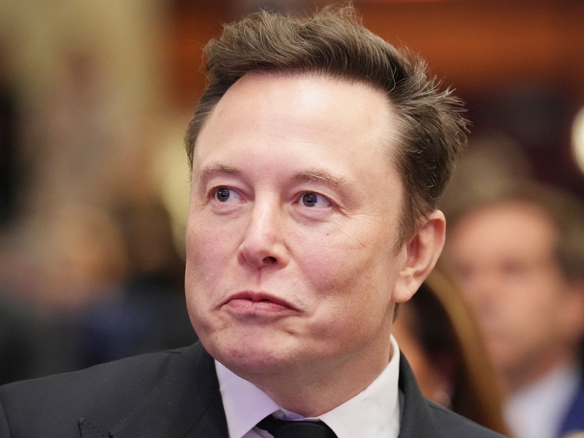 Elon Musk and DOGE eyeing $120 billion in cuts on federal diversity ...