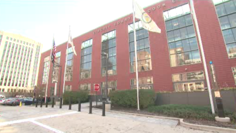 Cook County judge reassigned from Domestic Violence Division after ...