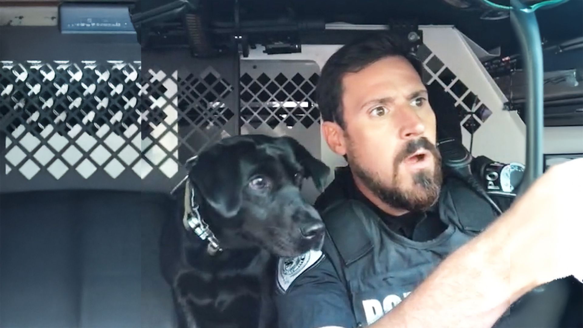 Police Dog Is The Best Sidekick