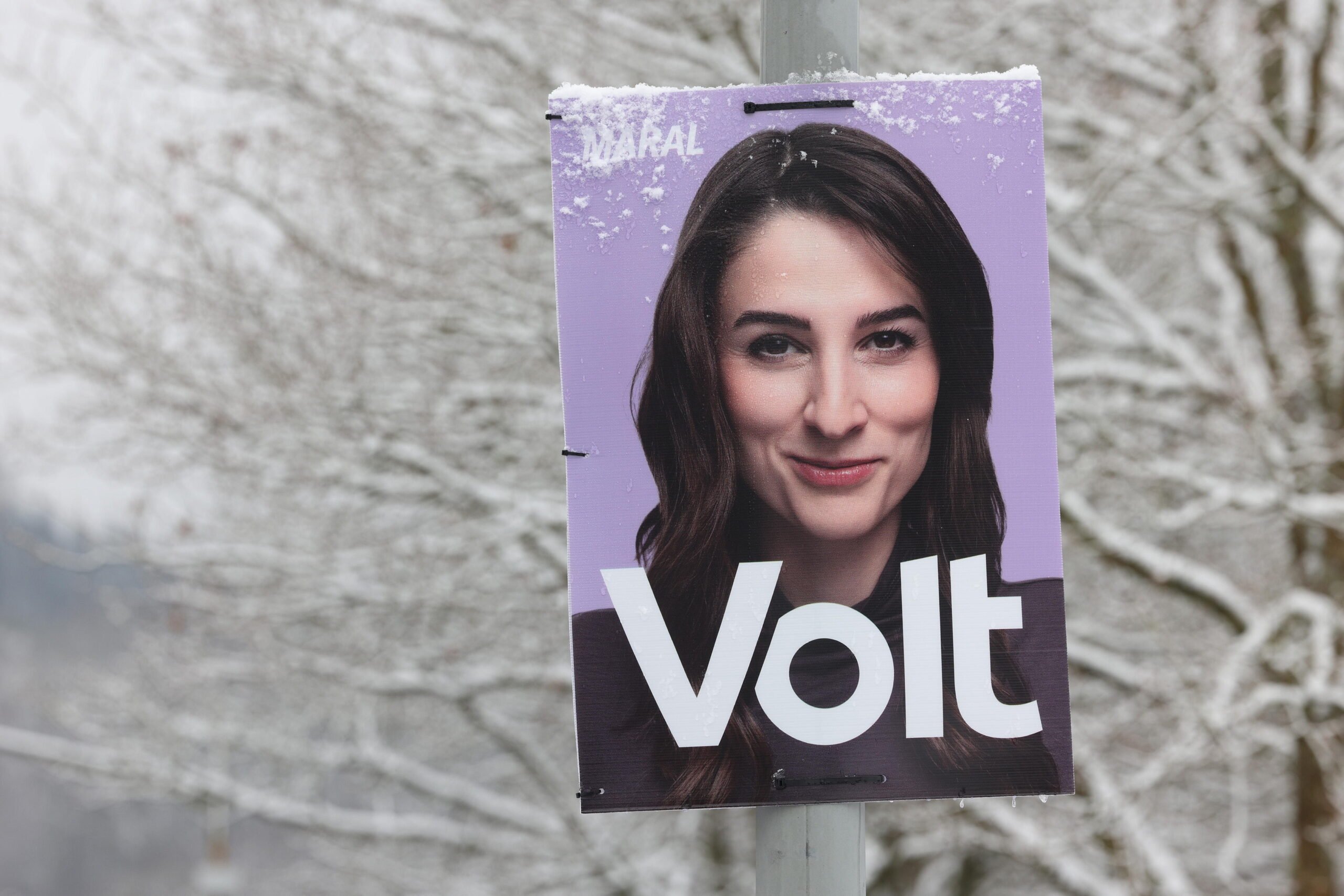 Wahl 2025: Das plant Volt für die Startup-Szene