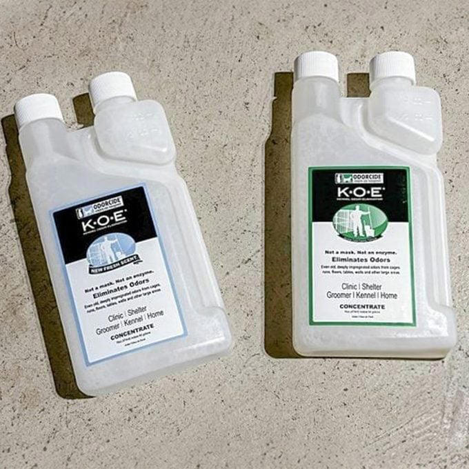 Our Editor Tested the 4 Best Pet Odor Eliminators for Your Home, Yard ...
