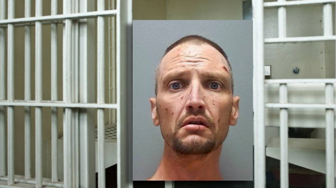 Metro Atlanta suspect sentenced to 20 years after breaking, entering ...