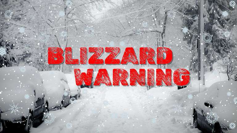 Blizzard warnings issued in Manitoba as high winds, snow arrive