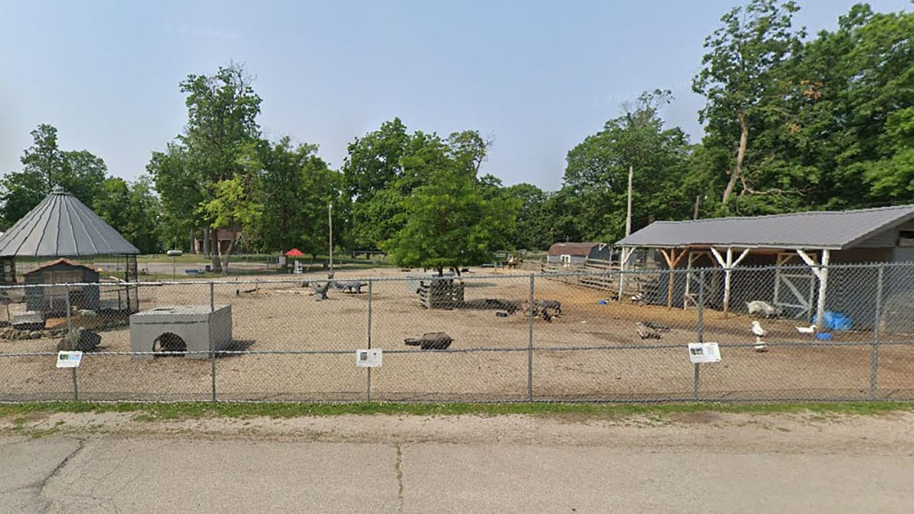 Frankfort mayor mourns deaths of a deer, 2 chickens at petting zoo