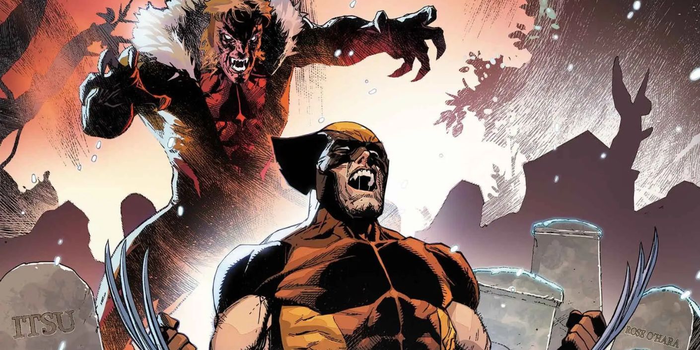Wolverine Is Great, But Sabretooth Just Turned the Hero's Powers ...