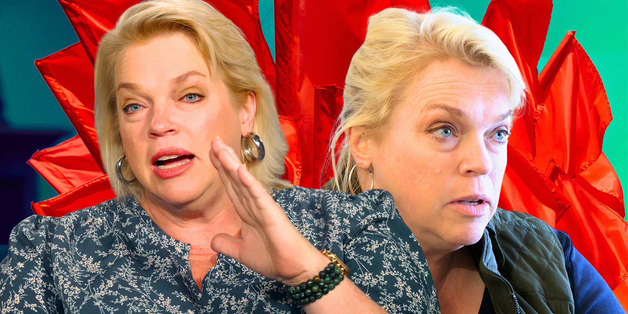 Sister Wives: Janelle's "Detox" Goals Are Red Flags That Her Past Is ...