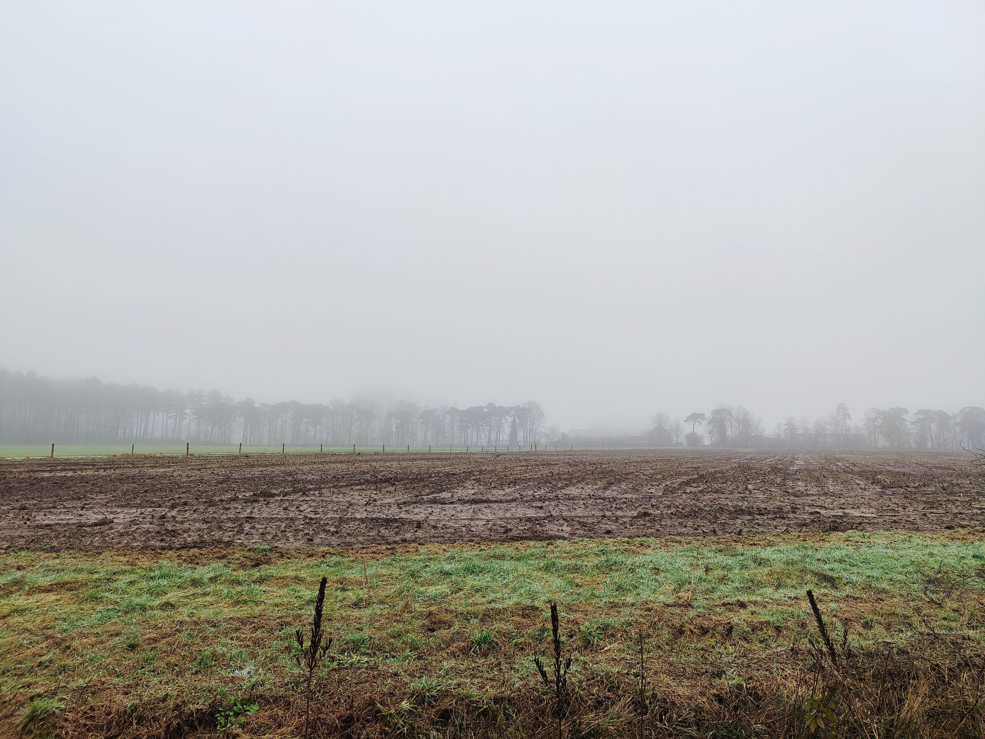 Weerman Samuel: "Volgende week stilaan een weersverandering"
