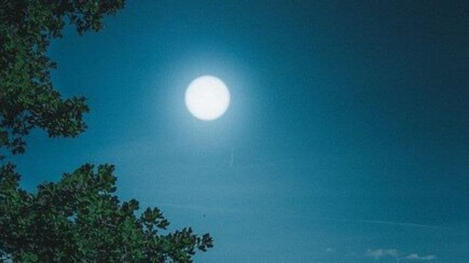 Sakat Chauth 2025: From vrat time, significance to rituals - Here's all ...