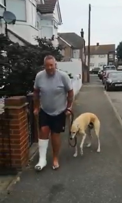 Após gastar R$ 2 mil com o veterinário, homem manco descobre que seu ...