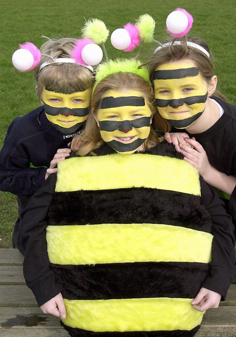 35 nostalgic photos taking you back to the classrooms of 2001 and 2002 ...