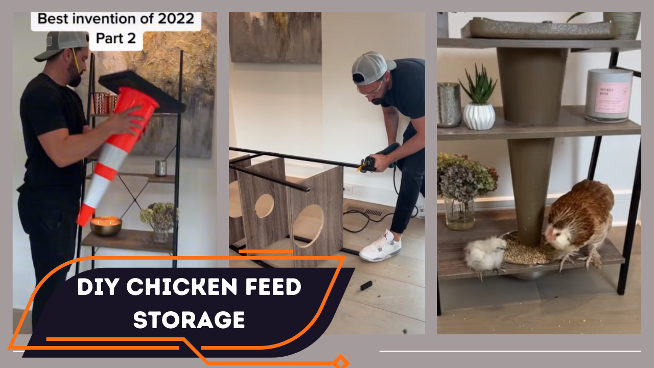 DIY Chicken Feed Storage A Handy Container You Can Build