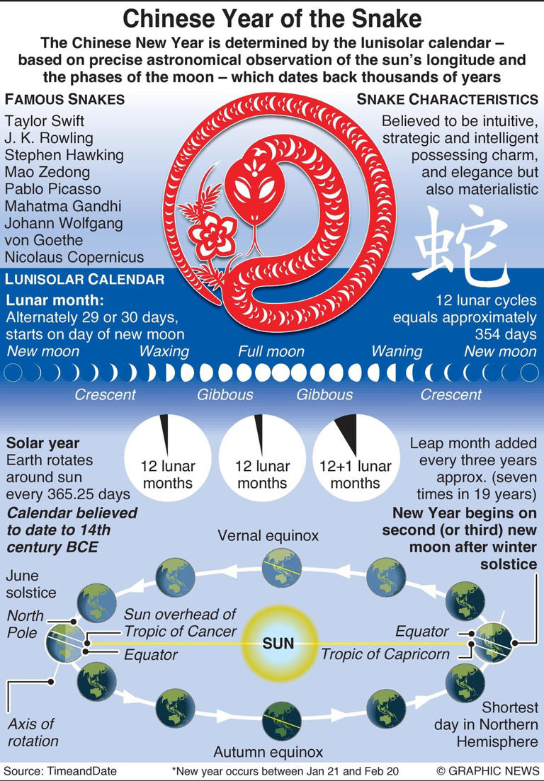 Beyond the Snake: Decoding the Chinese New Year