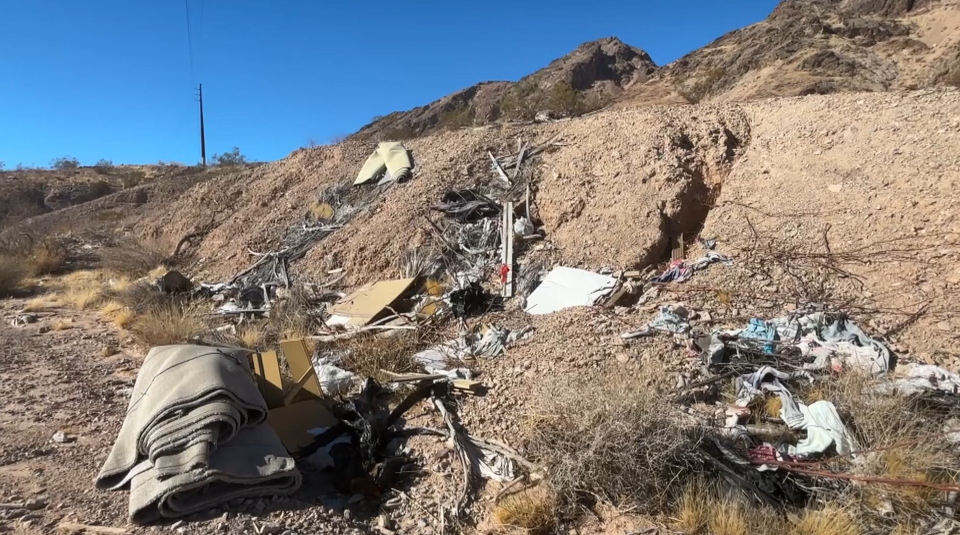 Animal dumping ground discovered during search for missing dog near ...