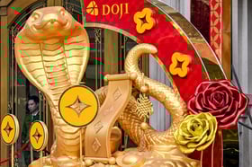 Beyond the Snake: Decoding the Chinese New Year