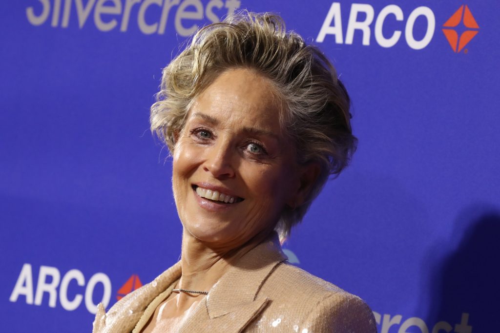 Sharon Stone cancela su participación en el concierto de Rufus ...