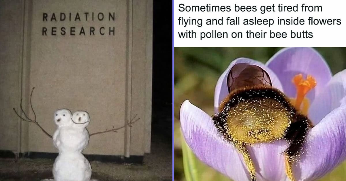 40 Peer-Reviewed Funny Science Memes That Deserve A Nobel Prize In ...