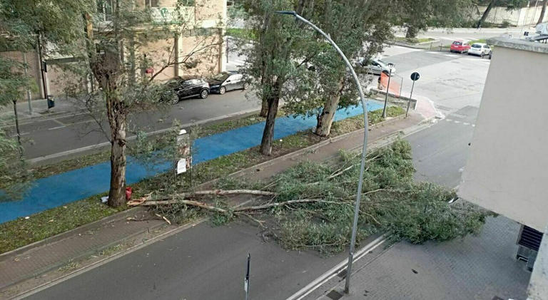 Allerta meteo, le scuole chiuse in Campania domani 18 gennaio: l'elenco ... Allerta meteo, le scuole chiuse in Campania domani 18 gennaio: l'elenco ...