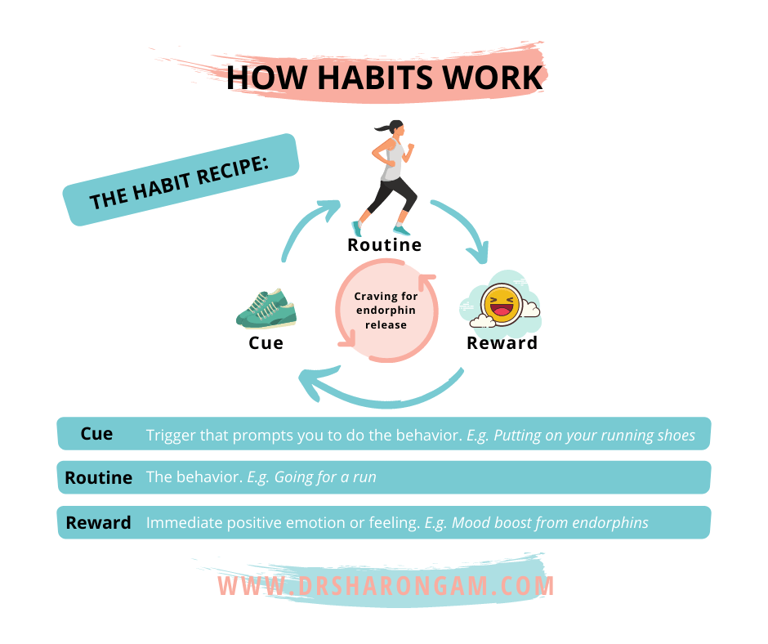 Building Healthy Habits: How Habits Work