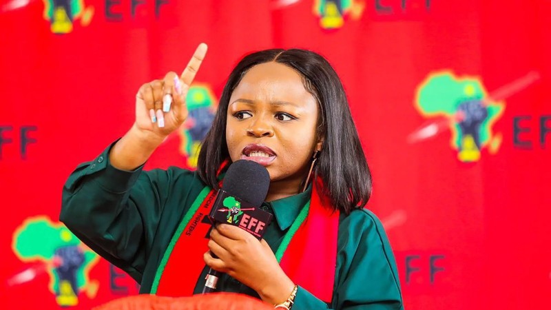 EFF reshuffles leadership in Parliament after voluntary resignations