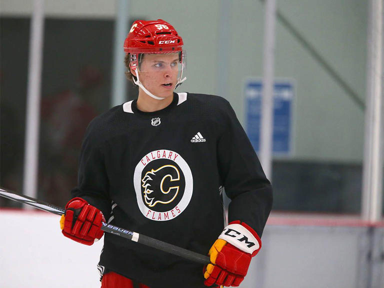 Will defence prospect Henry Mews turn out to be a draft steal for the ...