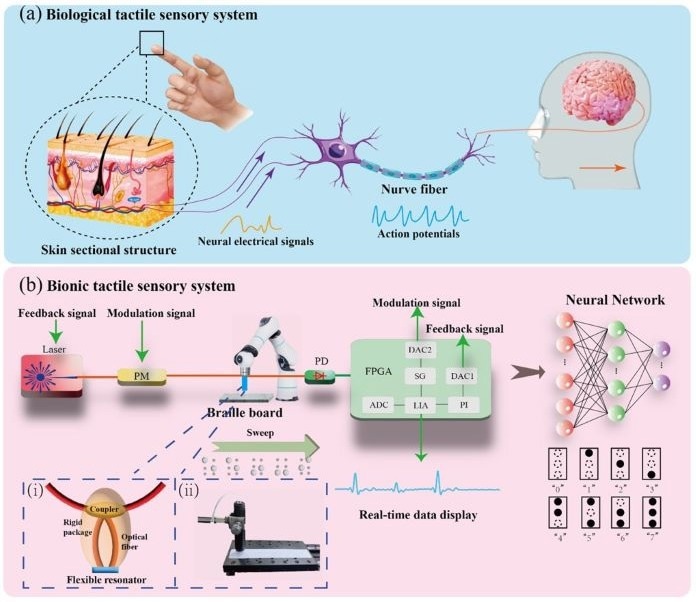Flexible Optical Skin Enables Fast and Accurate Braille Reading