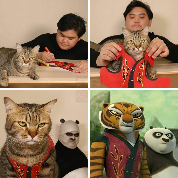 58 pictures of pets being incredibly silly to make you laugh