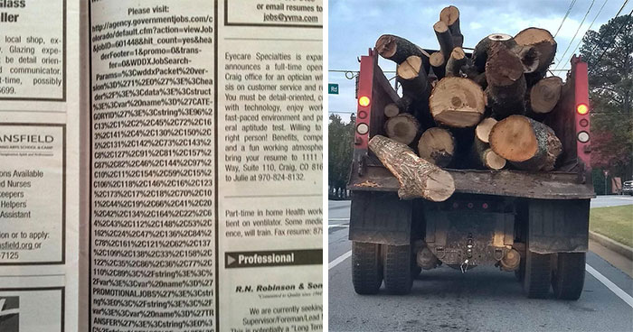 48 Pictures Of How Silly Humans Can Be