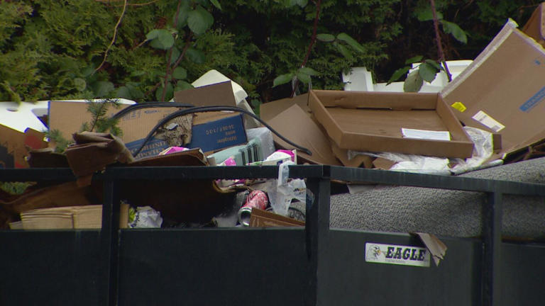 How some B.C. cities are coping with increasing complaints over ...