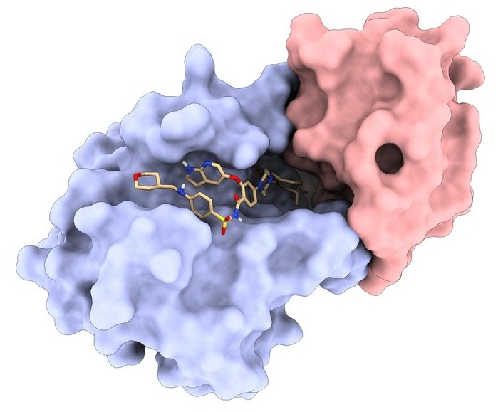 AI-Powered Platform for Designing Novel Protein Interactions