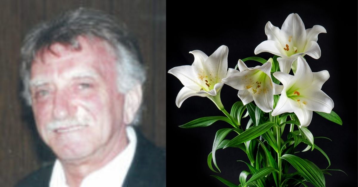 Robert Blasi, 85, dedicated union leader and auto craftsman, dies