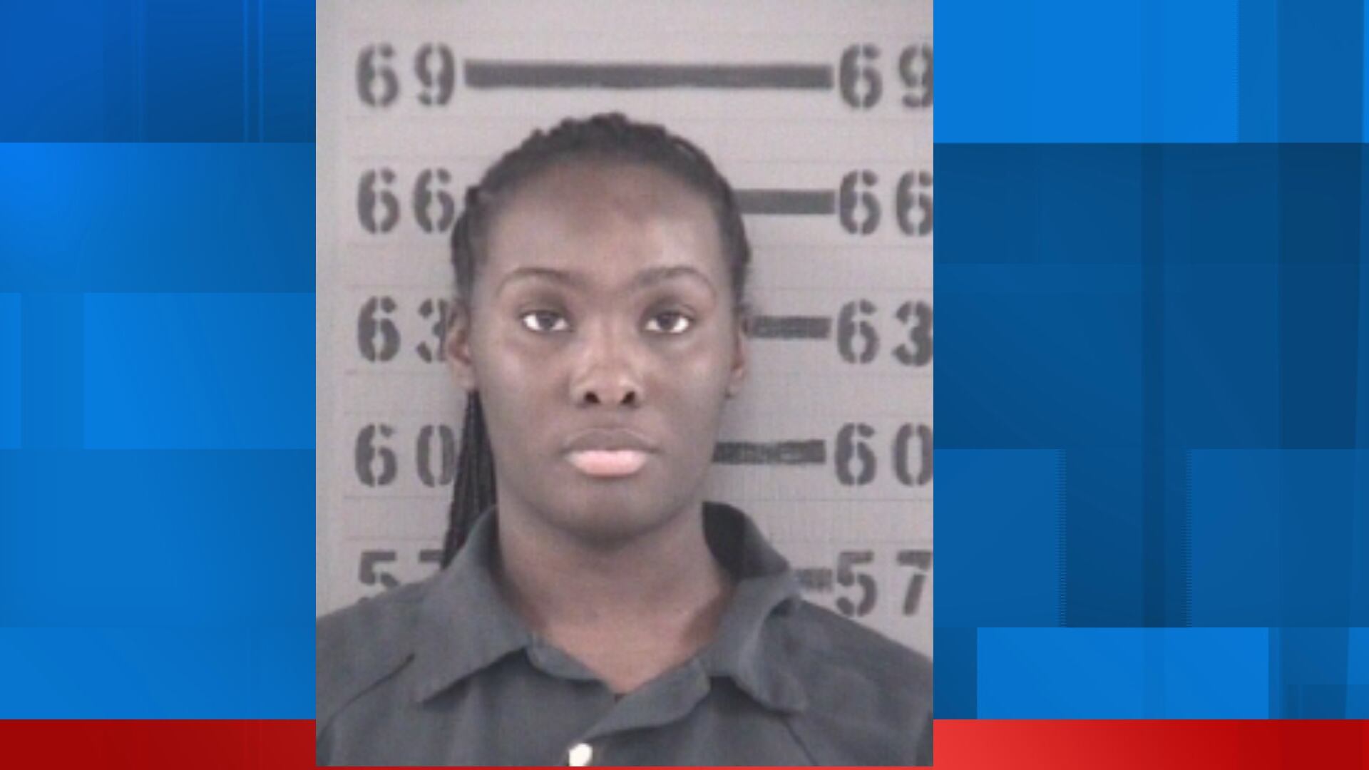 Albany woman arrested after allegedly killing a dog in hit-and-run