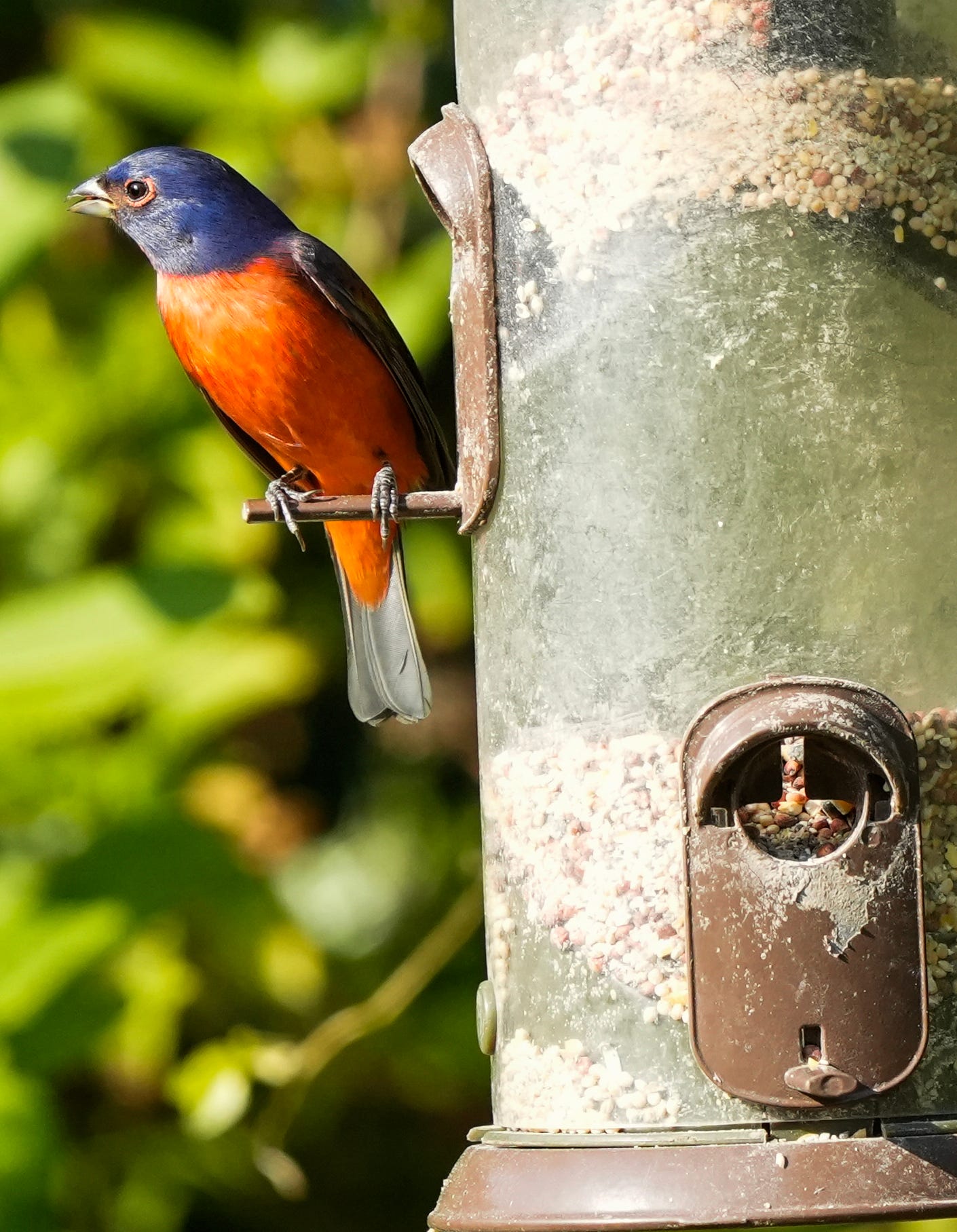 Merritt Island refuge relocates visitor services to trailer while ...