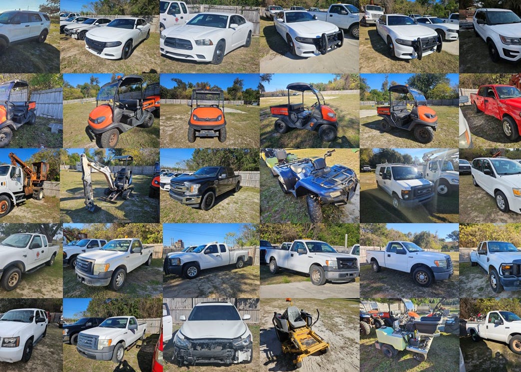 Bid big: Florida Action Network's live auction set for Jan. 25, 2025