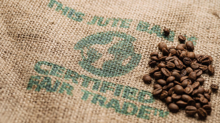 Everything You Need To Know About Mexican Coffee Beans