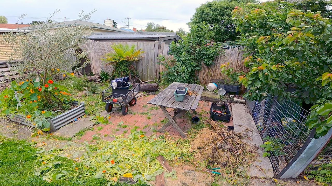 Almighty Post-Apocalyptic Garden Nightmare Restored | Helping a ...