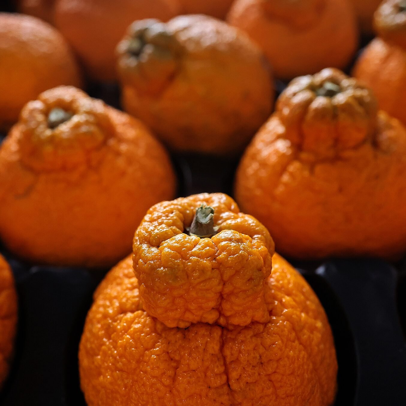 Sumo Citrus Just Appeared In Your Grocery Store—Here’s Why